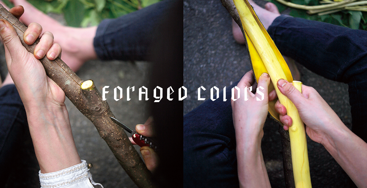 Foraged Colors